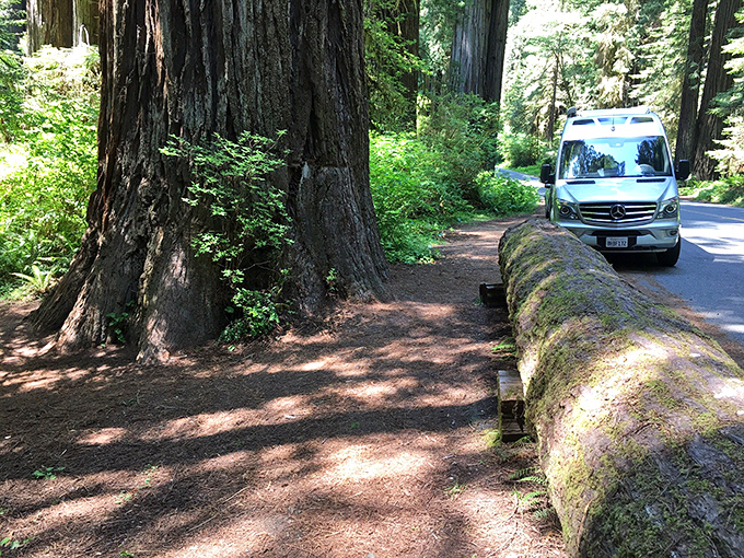 Roadside parking that beats any five-star hotel view. Roll down the windows and let the forest air become your aromatherapy.