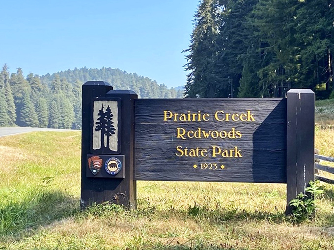 The welcoming sign to Prairie Creek Redwoods State Park &ndash; where 14,000 acres of natural wonder have been patiently waiting for your arrival since 1923.