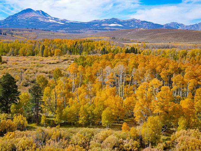 Fall's golden aspen groves create a patchwork quilt across the Eastern Sierra landscape &ndash; nature's version of comfort food for the eyes.