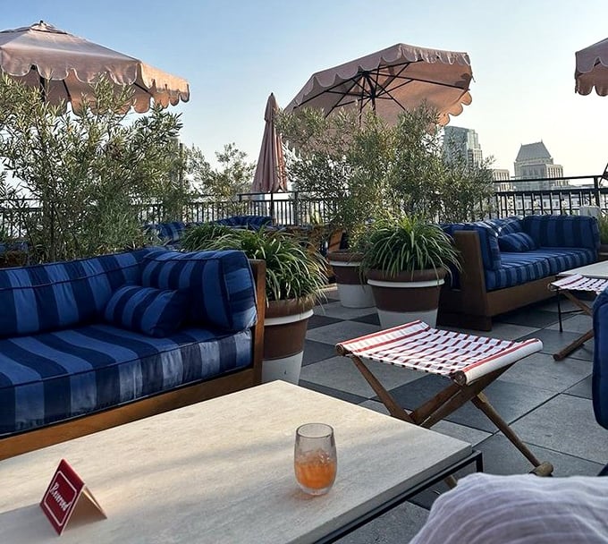 A rooftop oasis where your cocktail has a better view than most San Diego apartments, and somehow tastes better for it.