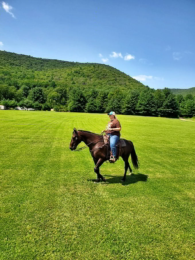 The emerald expanse of well-kept fields against mountain backdrops creates the perfect setting for connecting with Pennsylvania's pastoral heritage.