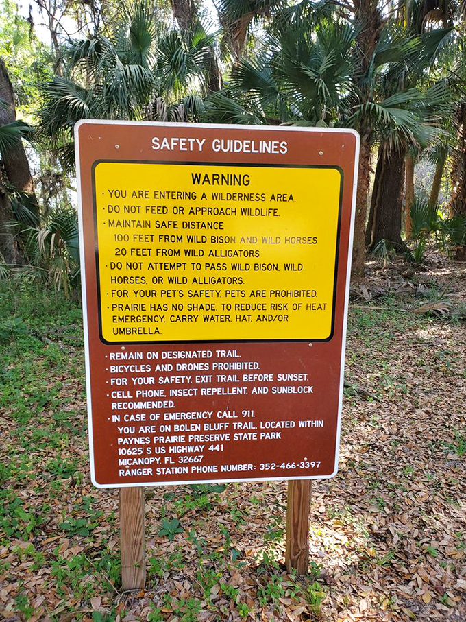 Fair warning: you're entering the wild side, where bison roam and gators rule their watery kingdoms.