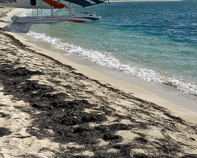 Where the Atlantic meets ancient history. These pristine shores have remained virtually unchanged since Ponce de Le&oacute;n first spotted sea turtles swimming offshore in 1513.