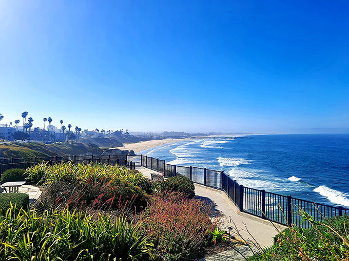 The Shore Cliff's panoramic coastline vista stretches so far you can almost see tomorrow, with waves creating nature's most reliable meditation soundtrack.
