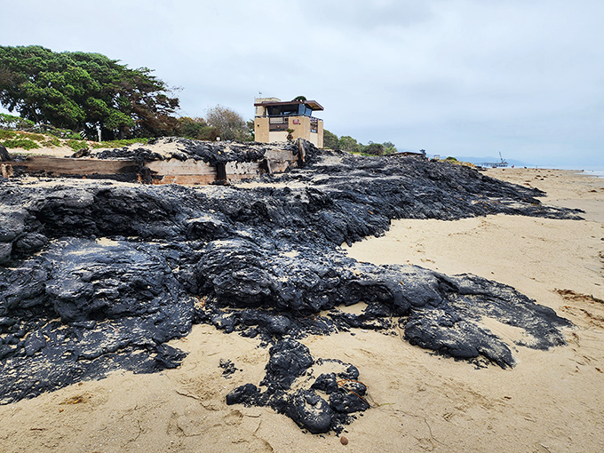 Gentle waves kiss sandy shores in an endless dance of natural rhythm and beauty.