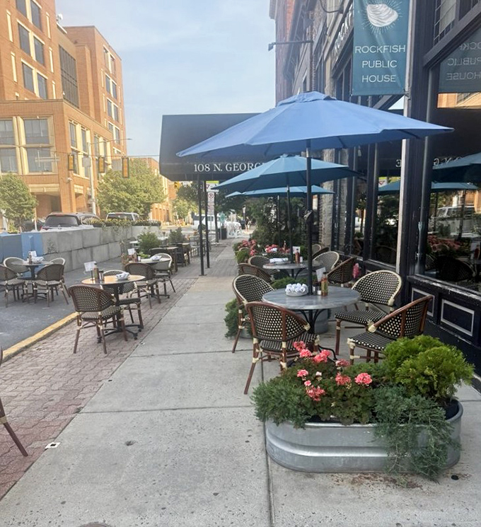 Sidewalk dining that transforms North George Street into a European-style caf&eacute; experience, complete with flower box charm.
