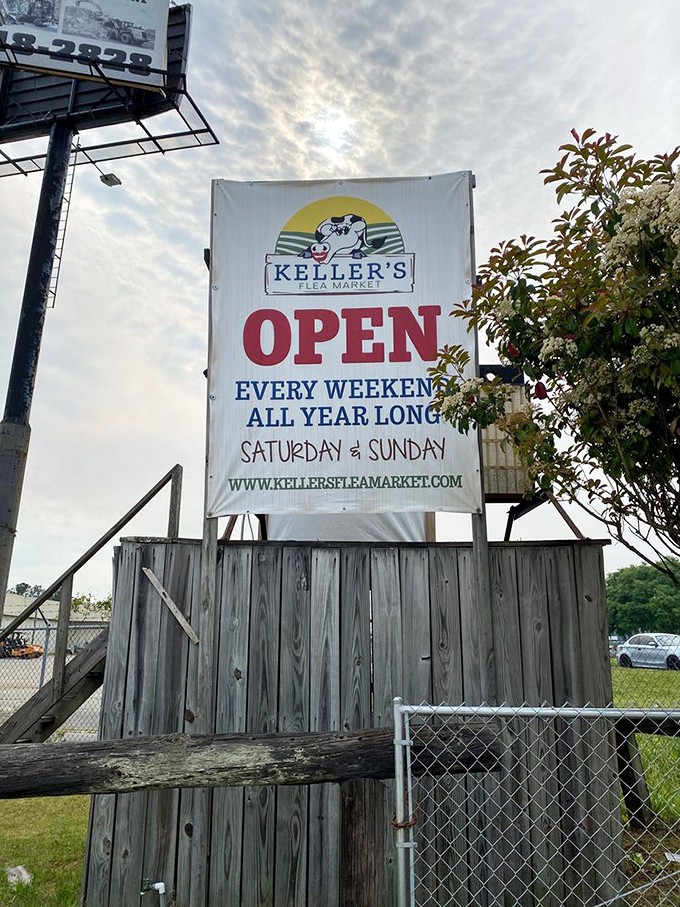 The promise of "OPEN EVERY WEEKEND ALL YEAR LONG" might be the most beautiful phrase in the English language for dedicated treasure hunters.