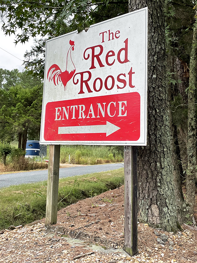 Follow this sign like it's the North Star of your hunger journey. The arrow points to happiness, with a side of hush puppies.