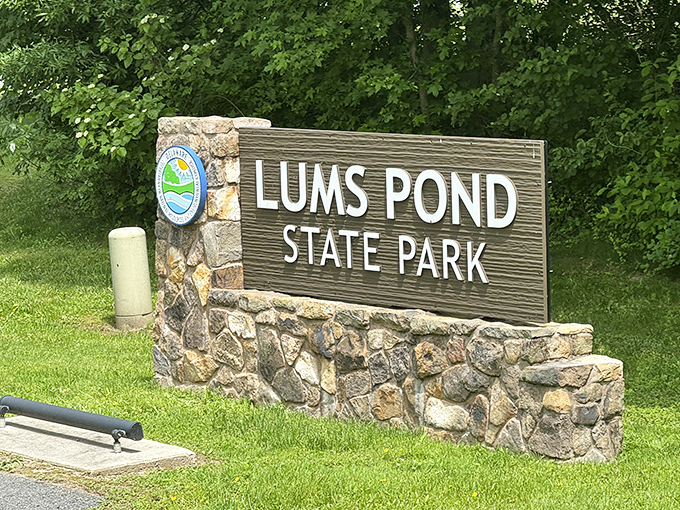 The stone-and-wood welcome mat to Delaware's liquid heart. First impressions matter, and this one promises adventure without saying a word.