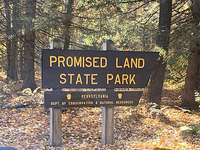 The entrance sign that promises exactly what it delivers&mdash;a land of natural wonders. Your official invitation to leave the digital world behind.