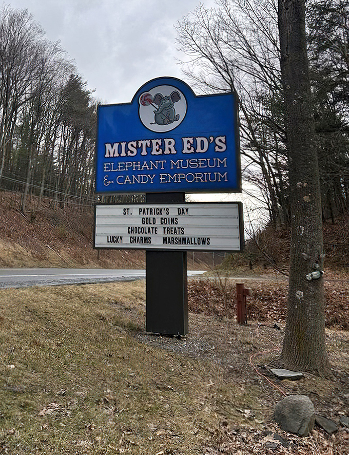 The roadside sign announces seasonal treats with the enthusiasm of a sugar-high town crier. St. Patrick never had it so sweet!