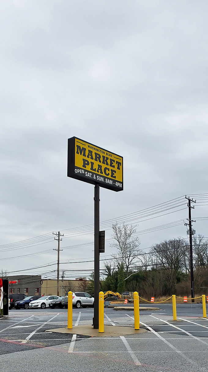 This towering sign promises weekend warriors eight hours of treasure hunting in climate-controlled comfort.