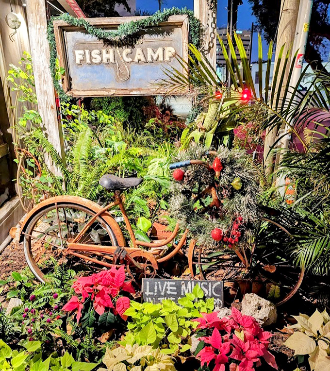 A weathered sign nestled among tropical foliage and a rusty bicycle &ndash; the perfect introduction to a place that values character over polish.