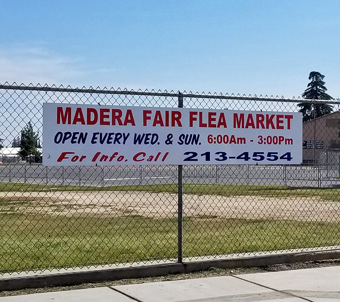 The beacon that guides bargain hunters from miles around. This sign promises treasures that big box stores can only dream about.