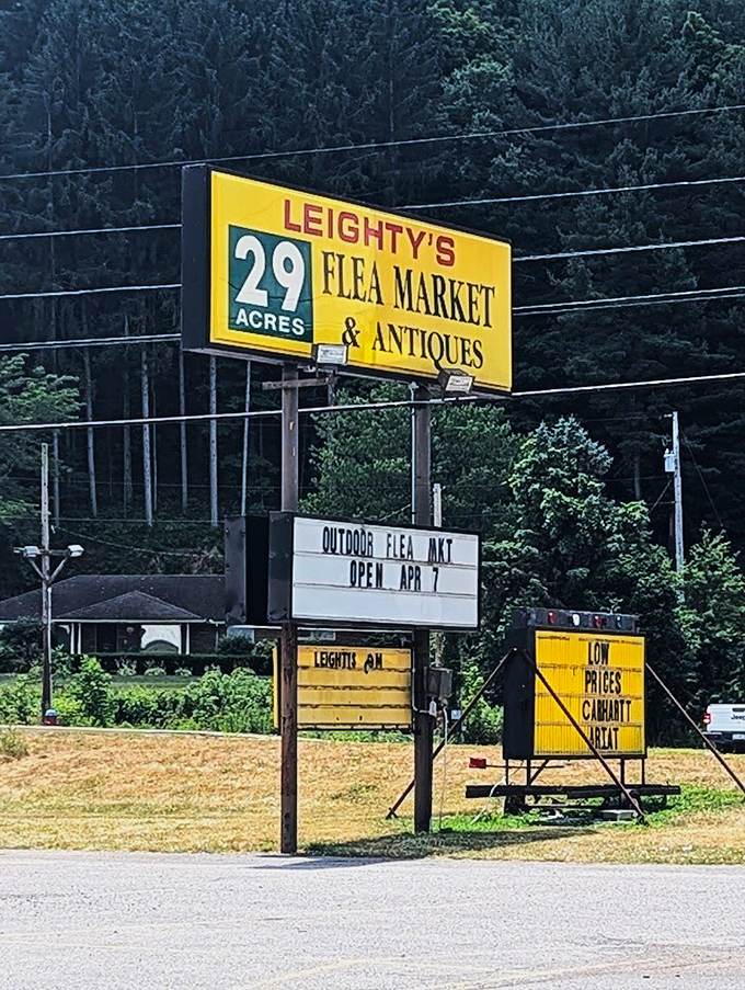 The iconic yellow sign stands like a beacon of bargain hope against the Pennsylvania forest&mdash;29 acres of "I didn't know I needed that."