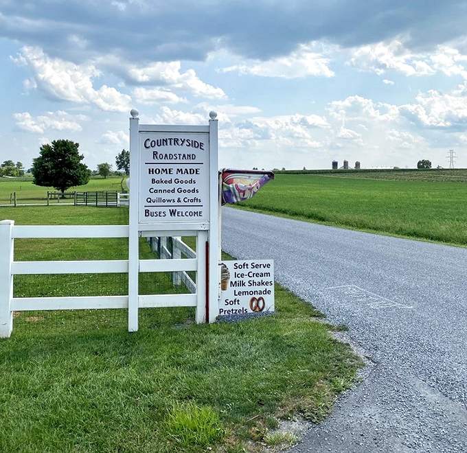 The roadside sign stands like a friendly sentinel in farm country, promising homemade treasures to those wise enough to turn down this country lane.