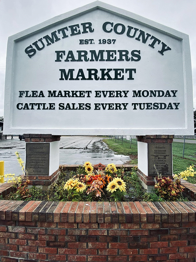 The market's sign tells the story: established 1937, offering flea market Mondays and cattle sales Tuesdays&mdash;a Florida institution carved in stone.