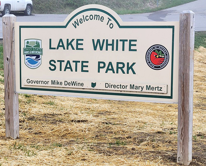 Your official welcome to a place where "hidden gem" isn't just marketing speak—it's accurate.