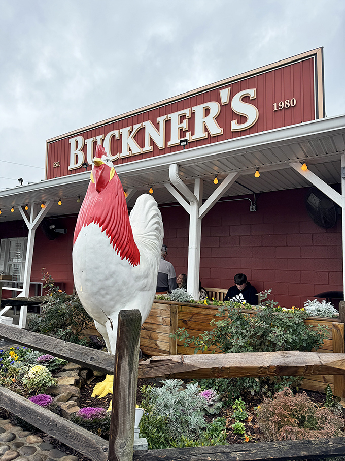 The giant rooster statue stands guard outside, as if to announce: "This is where the real chicken experts do their magic."