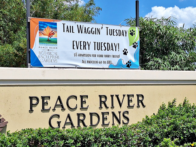 Tuesdays have gone to the dogs in the best possible way&mdash;proving that gardens are even better when shared with four-legged friends.