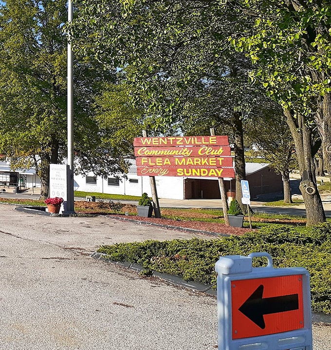 The beacon that draws bargain hunters every Sunday. This weathered sign has guided generations of Missourians to weekend treasure hunting adventures.