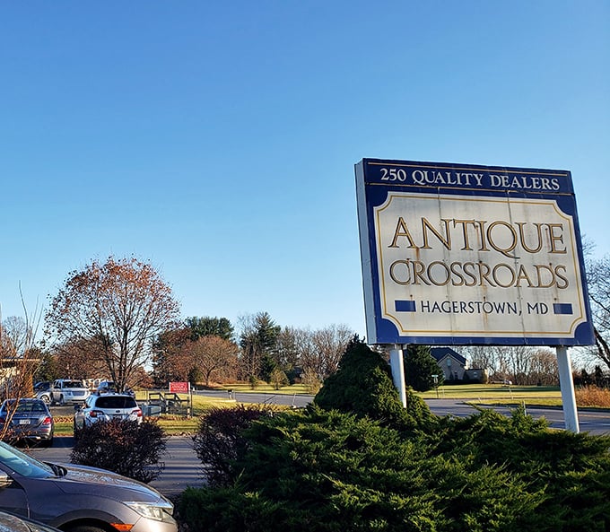 The sign promises 250 quality dealers, but understates the real offering: countless opportunities to find pieces of your own history.