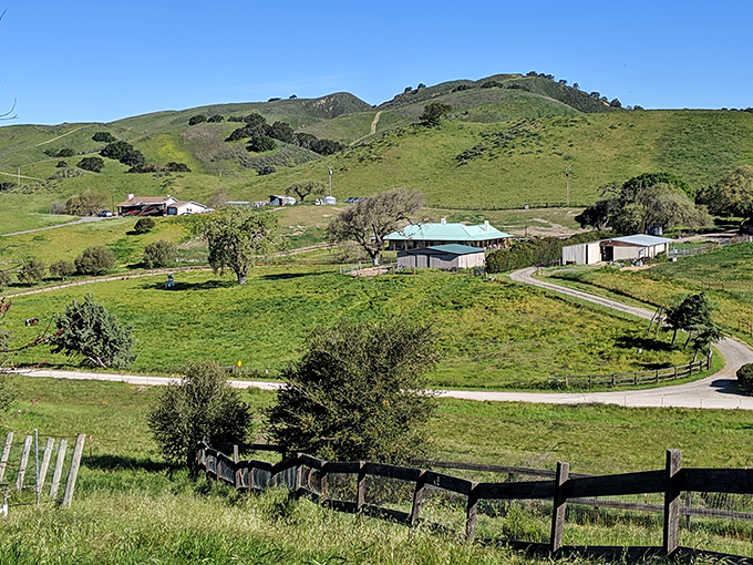 Beyond the town lies the rolling countryside that produces the wines you've been sipping all day. California's pastoral perfection.