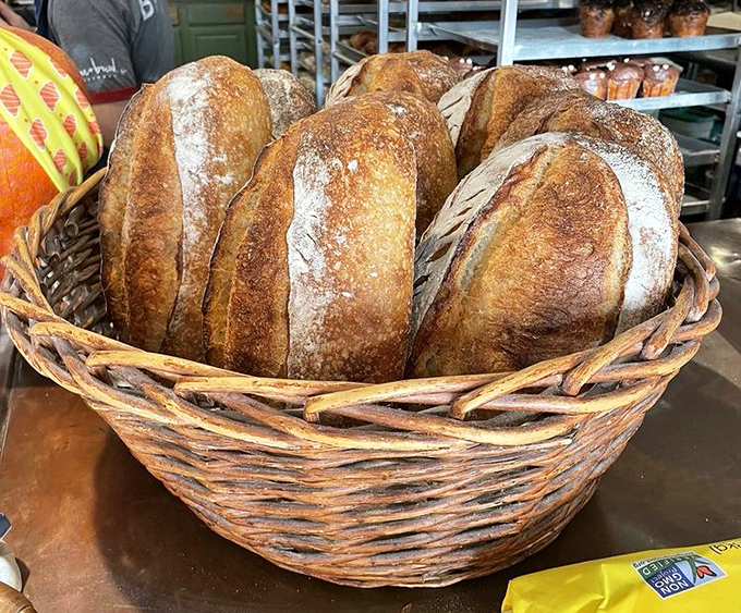 Golden sourdough loaves nestled in their basket like newborns in a nursery. Each one a testament to patience and craftsmanship.