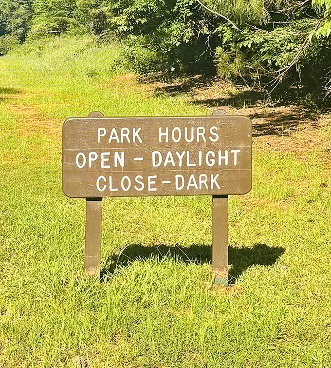 Simple hours for a not-so-simple place, proving that the best things in life follow their own schedule.