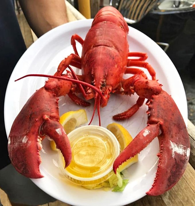 A whole lobster presented with the dignity it deserves. Making eye contact might be awkward, but the flavor relationship will be worth it.
