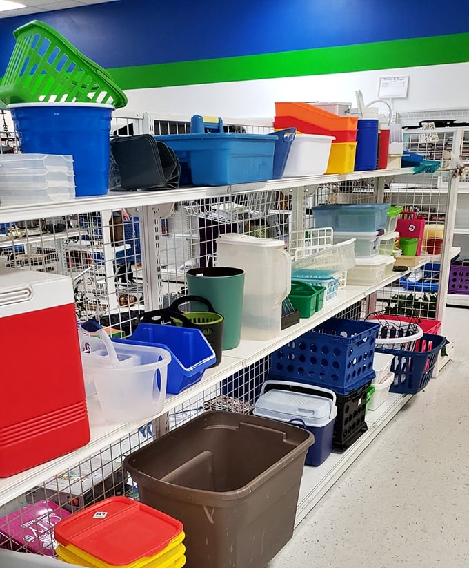 Storage solutions galore—because nothing says "I've got my life together" like color-coordinated plastic bins bought at thrift store prices.