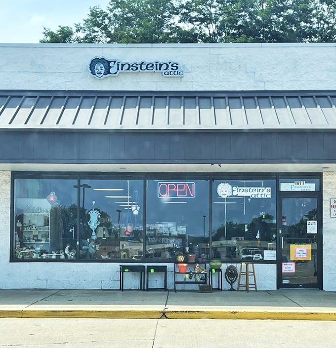 The siren call of secondhand shopping glows in neon. Einstein's Attic's welcoming facade promises the thrill of the hunt and the joy of unexpected finds.