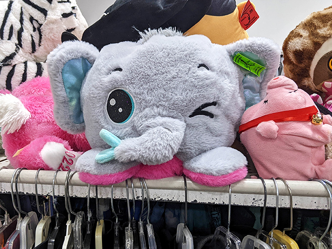 "Take me home!" says this winking elephant plush. In the stuffed animal section, forgotten cuddle buddies wait patiently for their second chance at being loved. 