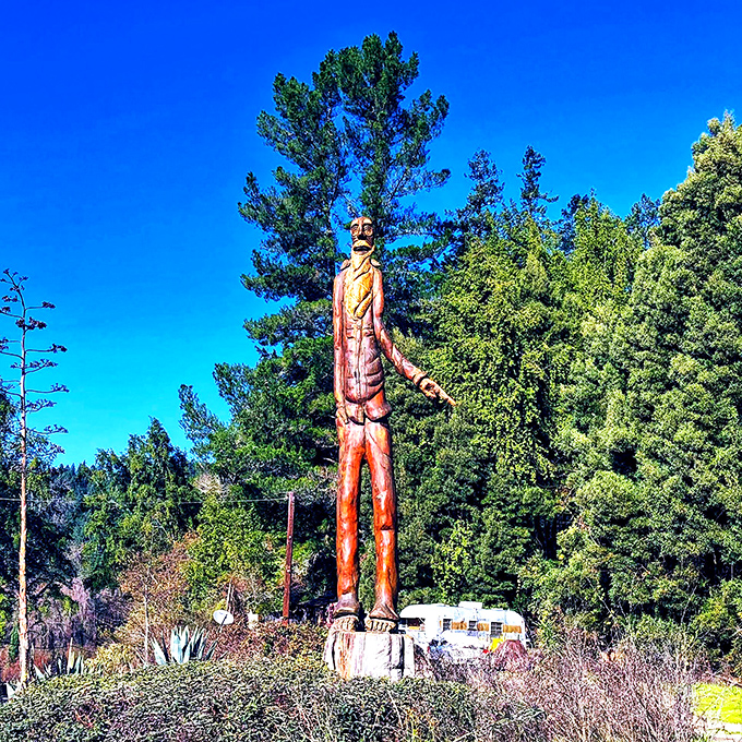 This wooden sentinel watches over the forest with the stoic patience of someone who's seen it all and isn't particularly impressed.