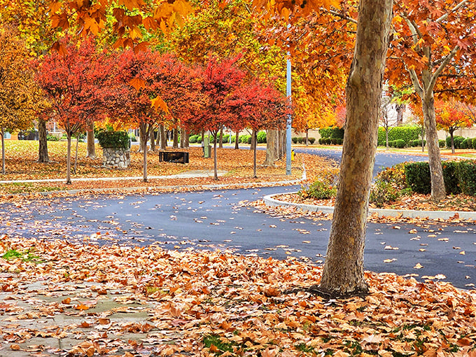 Fall transforms Thorburn Park into a canvas of crimson and gold, proving that California does indeed have seasons&mdash;they're just more polite about it.