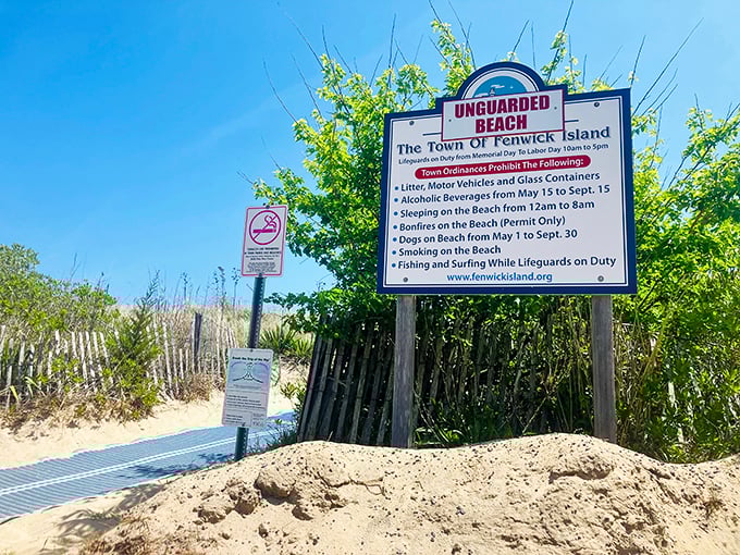 Beach rules exist because someone, somewhere, once thought "Hold my beer and watch this" was a good opening line.