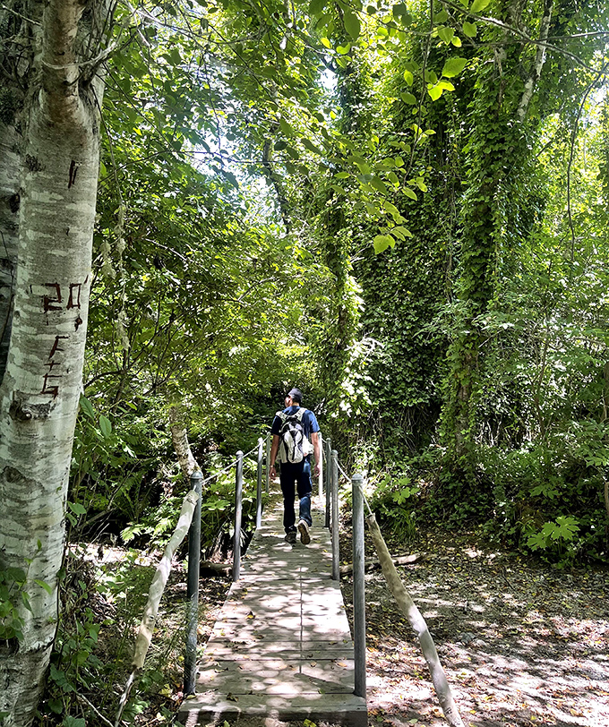 Nature reclaims the edges of history along Fort Ross's shaded trails, where modern hikers follow paths once walked by Russian settlers.