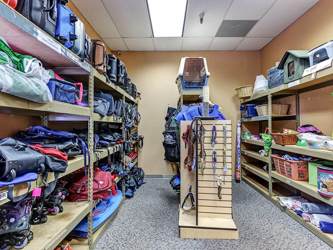 The bag and luggage section: where adventure awaits on a budget. That pet carrier in the center has stories to tell about road trips past.