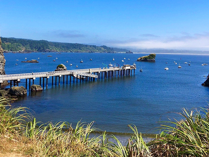 Trinidad Pier stretches into the harbor like a welcoming handshake, connecting land-lovers to the town's maritime heart and soul.