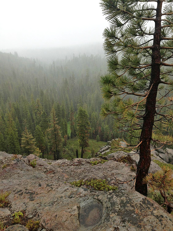 Misty mountain mornings create an ethereal atmosphere that makes you feel like you've wandered onto the set of a fantasy film.