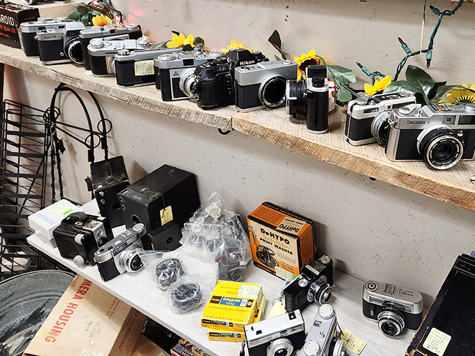 A photographer's dream timeline! These vintage cameras chronicle the evolution of how we've captured memories since before selfies existed.