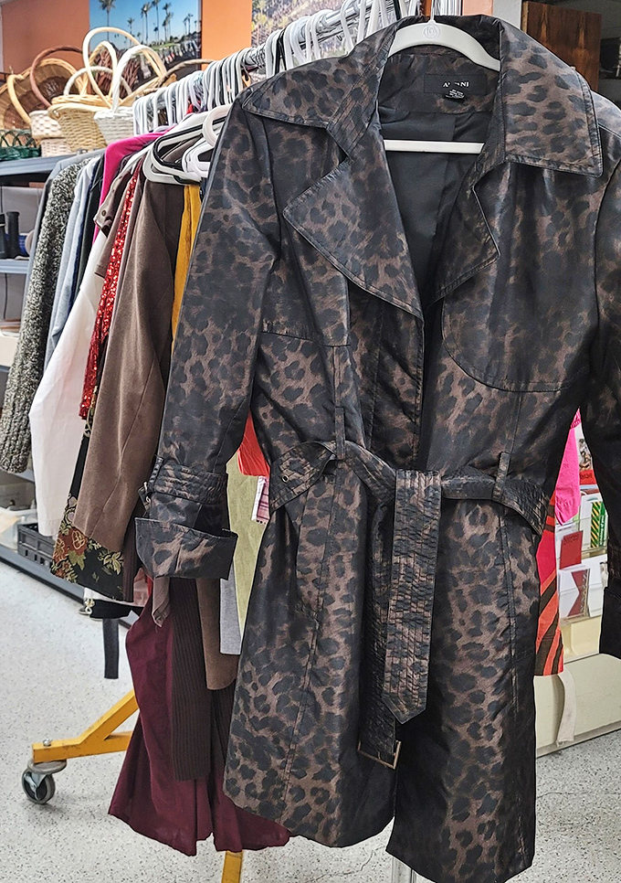 Fashion-forward outerwear proving that style doesn't have to cost a fortune to make a statement.