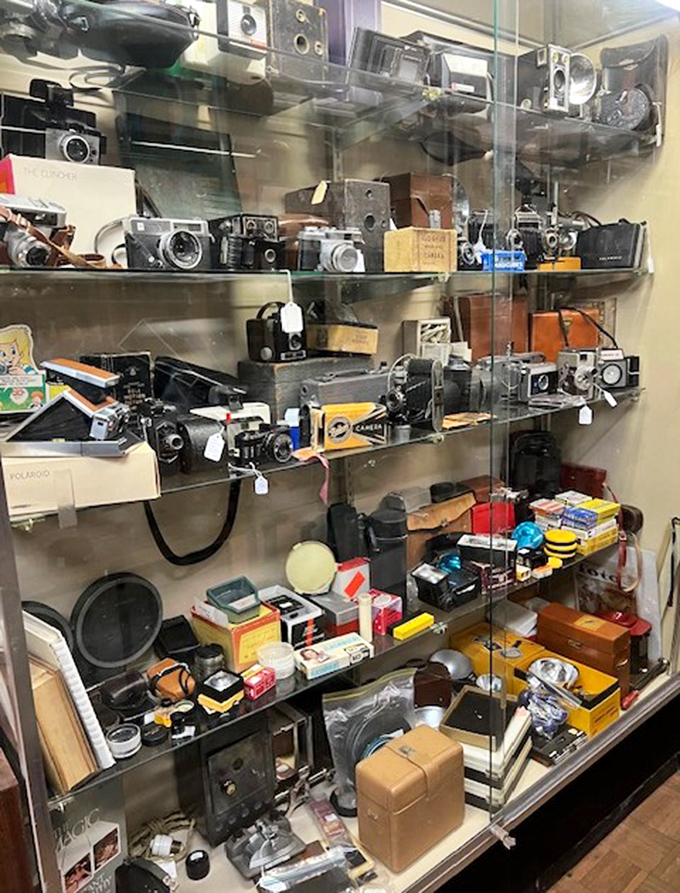 A photographer's dream &ndash; vintage cameras that captured moments long before Instagram filters were even a twinkle in a developer's eye.