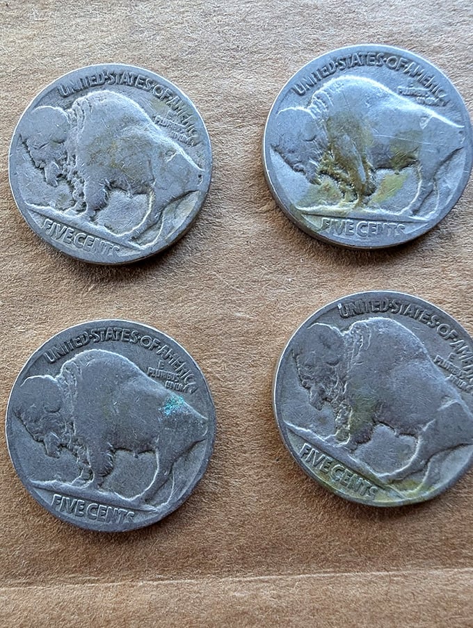 Buffalo nickels that outlasted the herds. These vintage coins represent more than currency&mdash;they're pocket-sized pieces of American history you can actually own.