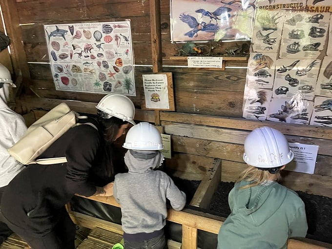 Young paleontologists don safety helmets for a hands-on fossil dig experience, examining educational displays about prehistoric life while they work.