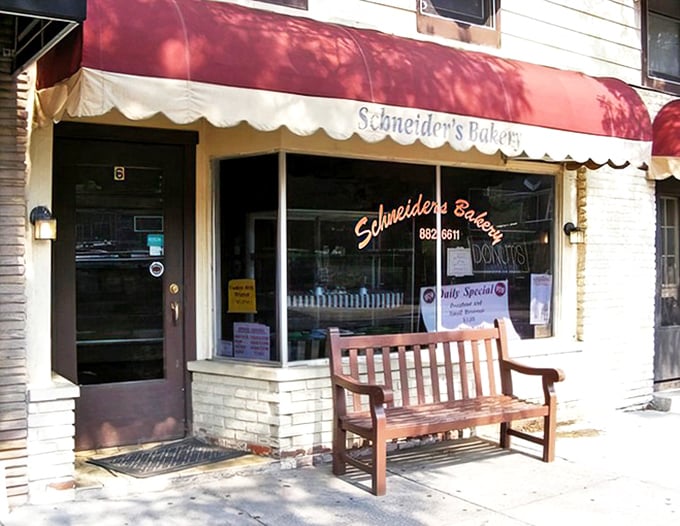The wooden bench outside isn't just seating &ndash; it's a front-row ticket to the best show in town: watching people emerge with boxes of joy.