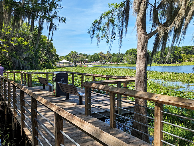 Wooden boardwalks wind through cypress-studded wetlands, offering peaceful moments of reflection alongside Florida's natural splendor.