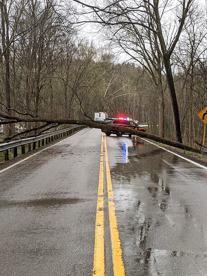 Mother Nature occasionally throws a plot twist! Even a fallen tree becomes a dramatic scene along this scenic route that never disappoints.
