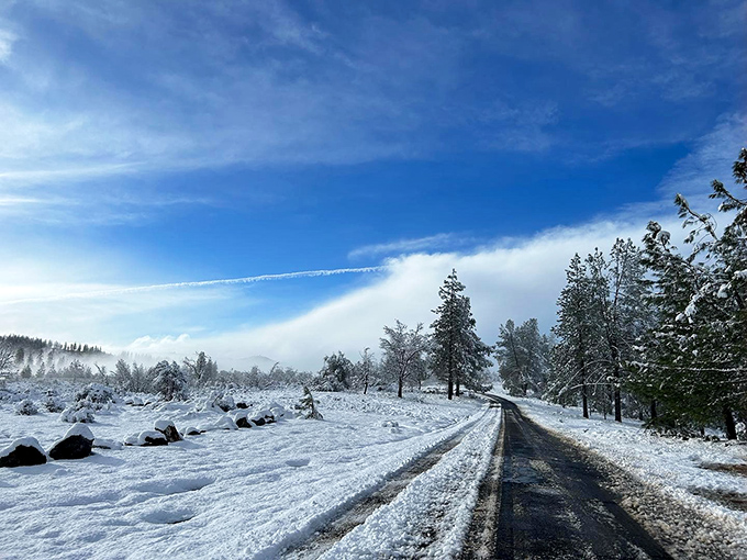Winter transforms the landscape into a monochromatic masterpiece, where the road ahead promises adventure and the heater in your car suddenly seems miraculous.