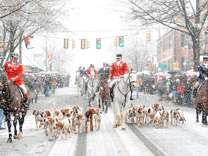 When snow falls on Middleburg's Christmas parade, even the foxhounds seem to understand they're participating in peak Virginia magic.